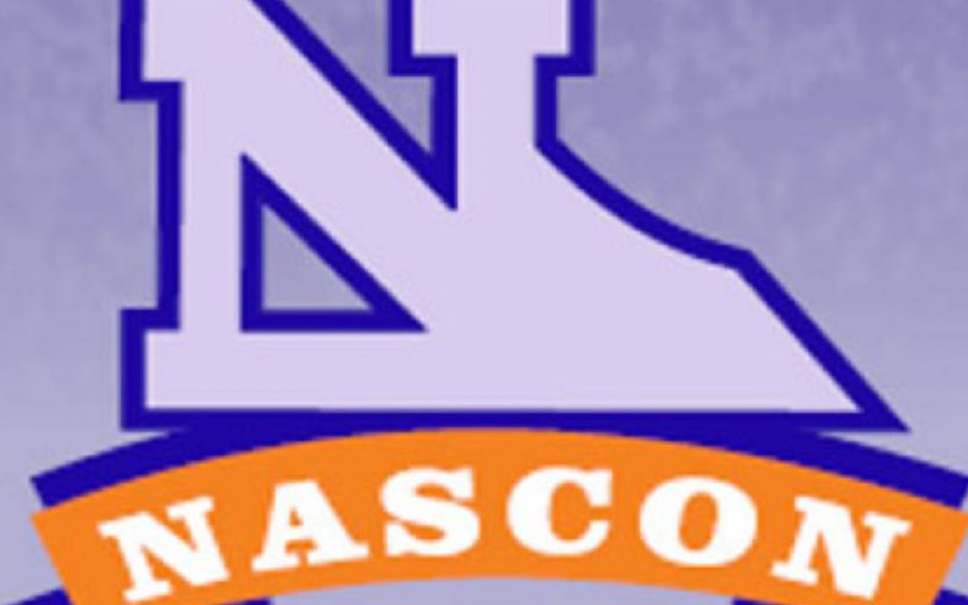 NASCON Allied Industries to merge with Dangote Sugar and Dangote Rice ...